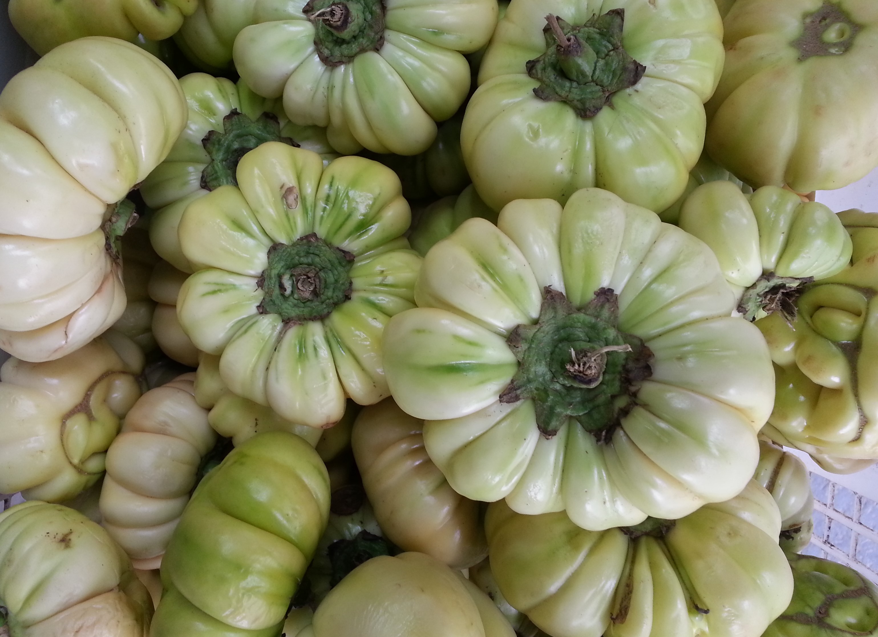 Aubergine Africaine, (500g)