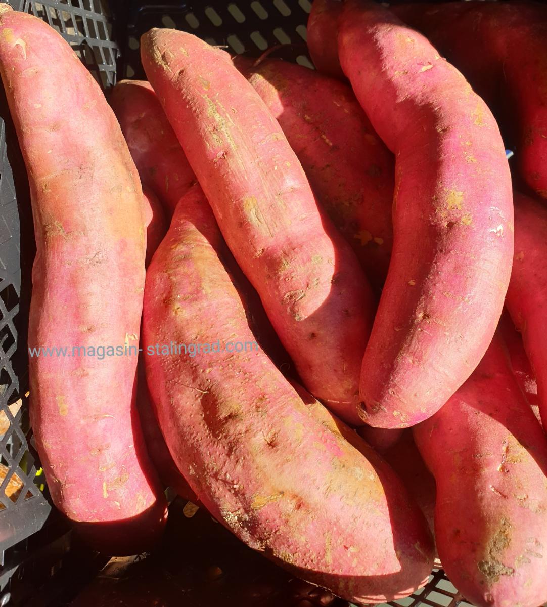 Patate douce à peau rouge, 500g. 3,50 euros.